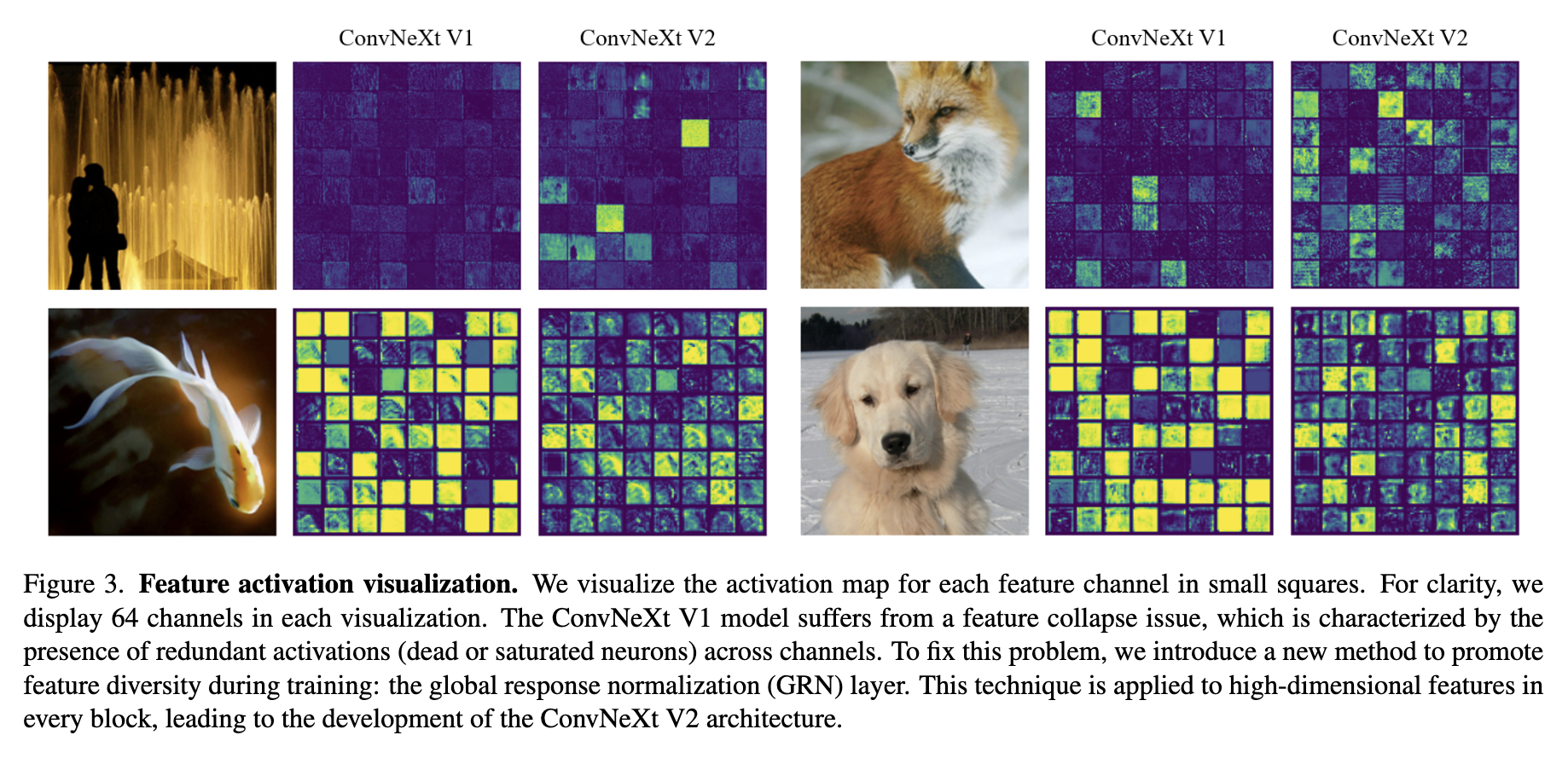 ConvNext V2: Co-designing and Scaling ConvNets with Masked Autoencoders ...