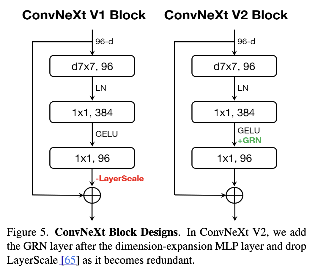 ConvNext V2: Co-designing and Scaling ConvNets with Masked Autoencoders | 起居室老虎